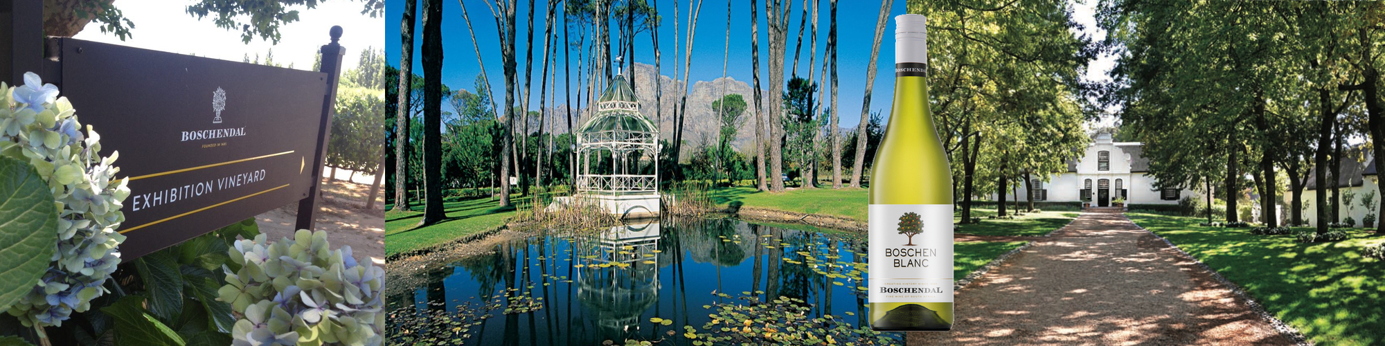 Boschendal - Classics - Boschen Blanc 2021 bei Andreae Weine